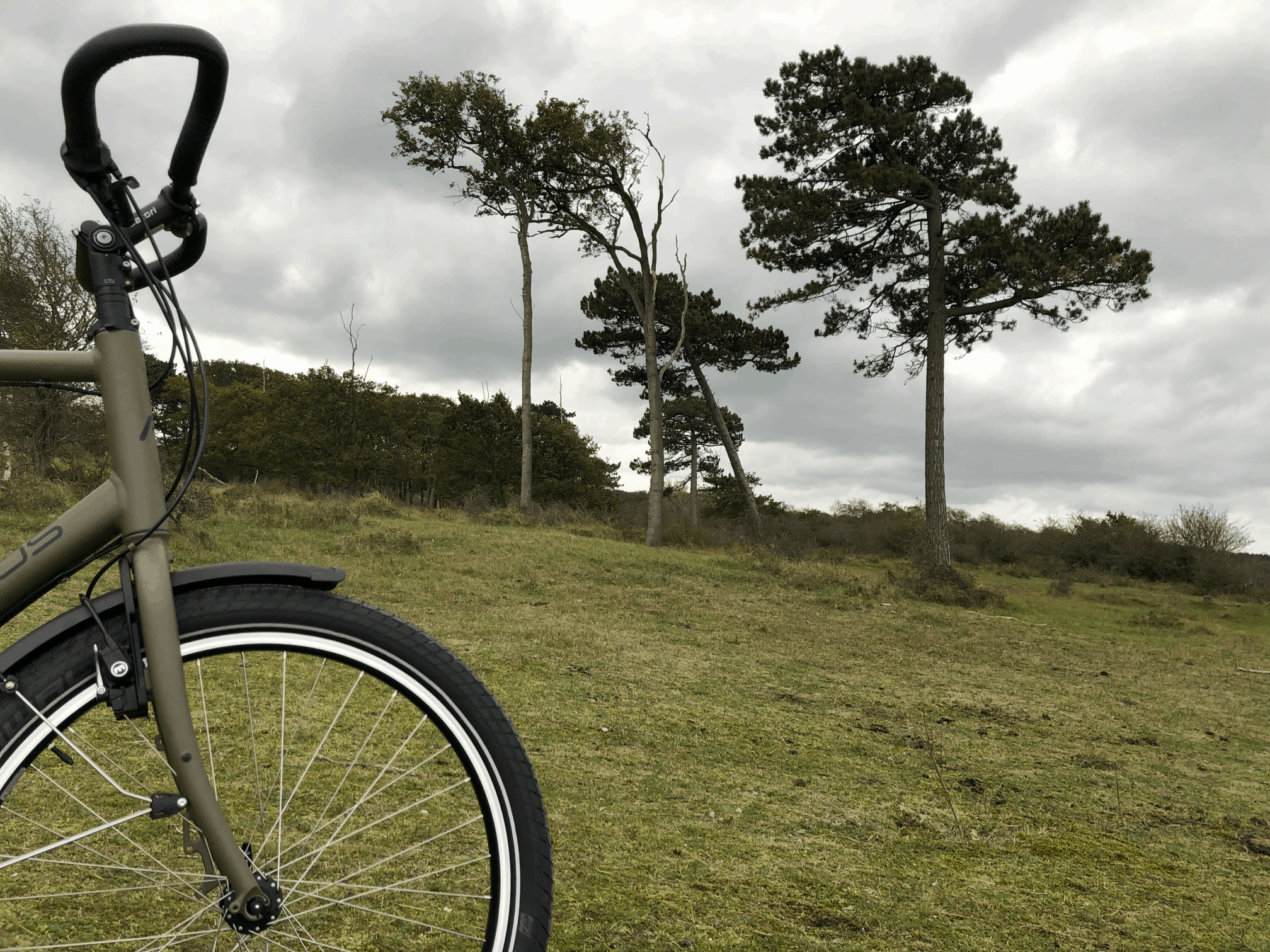 #63: Mijn nieuwe fiets, bank en stoel geven me stress – Kak, ik heb een ...